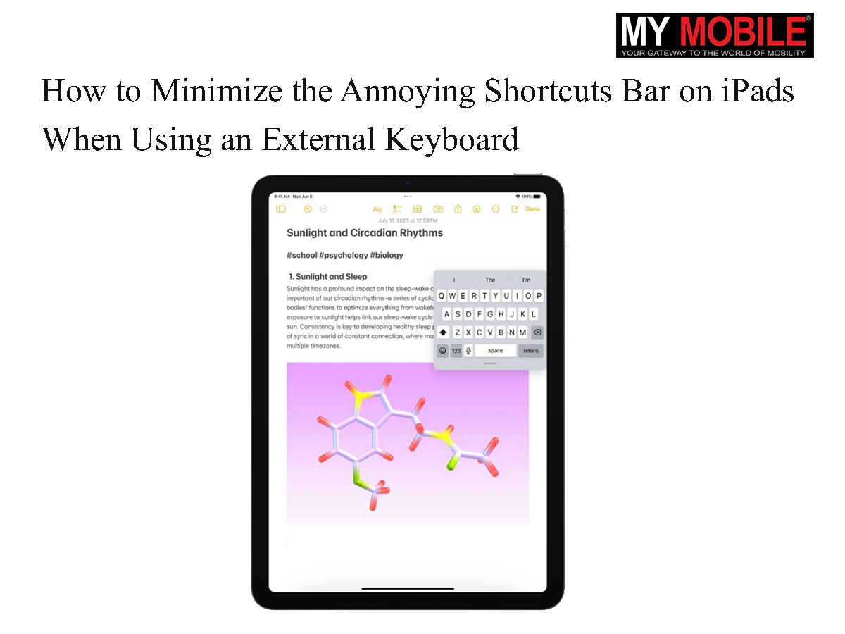 How to Minimize the Annoying Shortcuts Bar on iPads When Using an ...